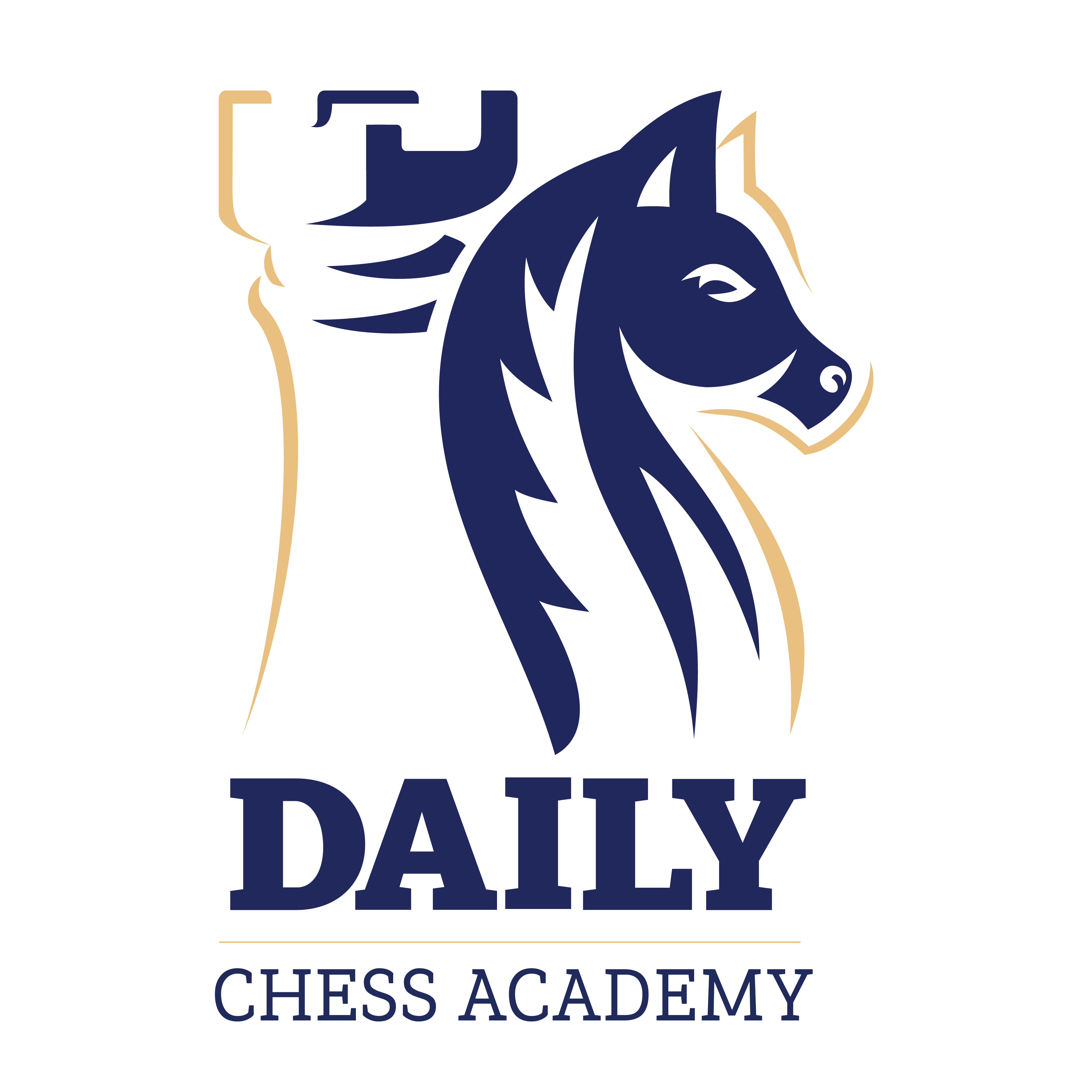 Daily Chess Academy – Kenya's Premier Chess School